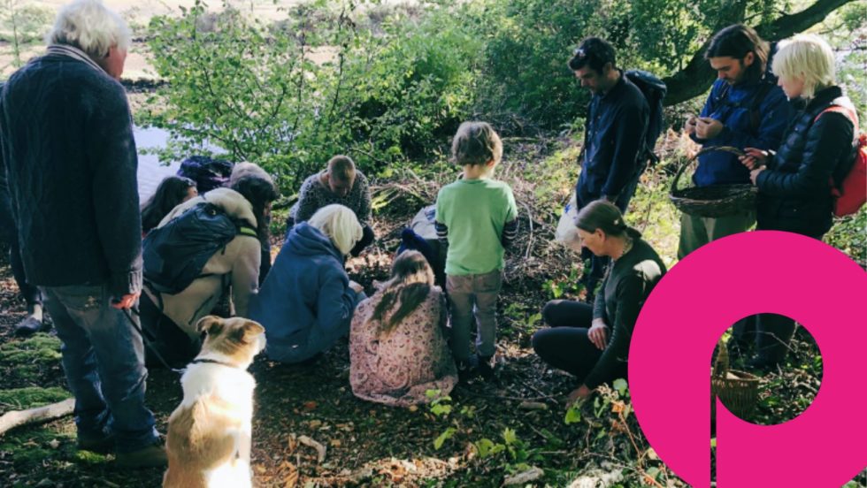 Biochar Project Wins Award - Olympus Power Limited