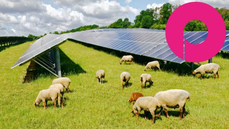 Green Hydrogen & Agrivoltaics | Olympus Power Limited
